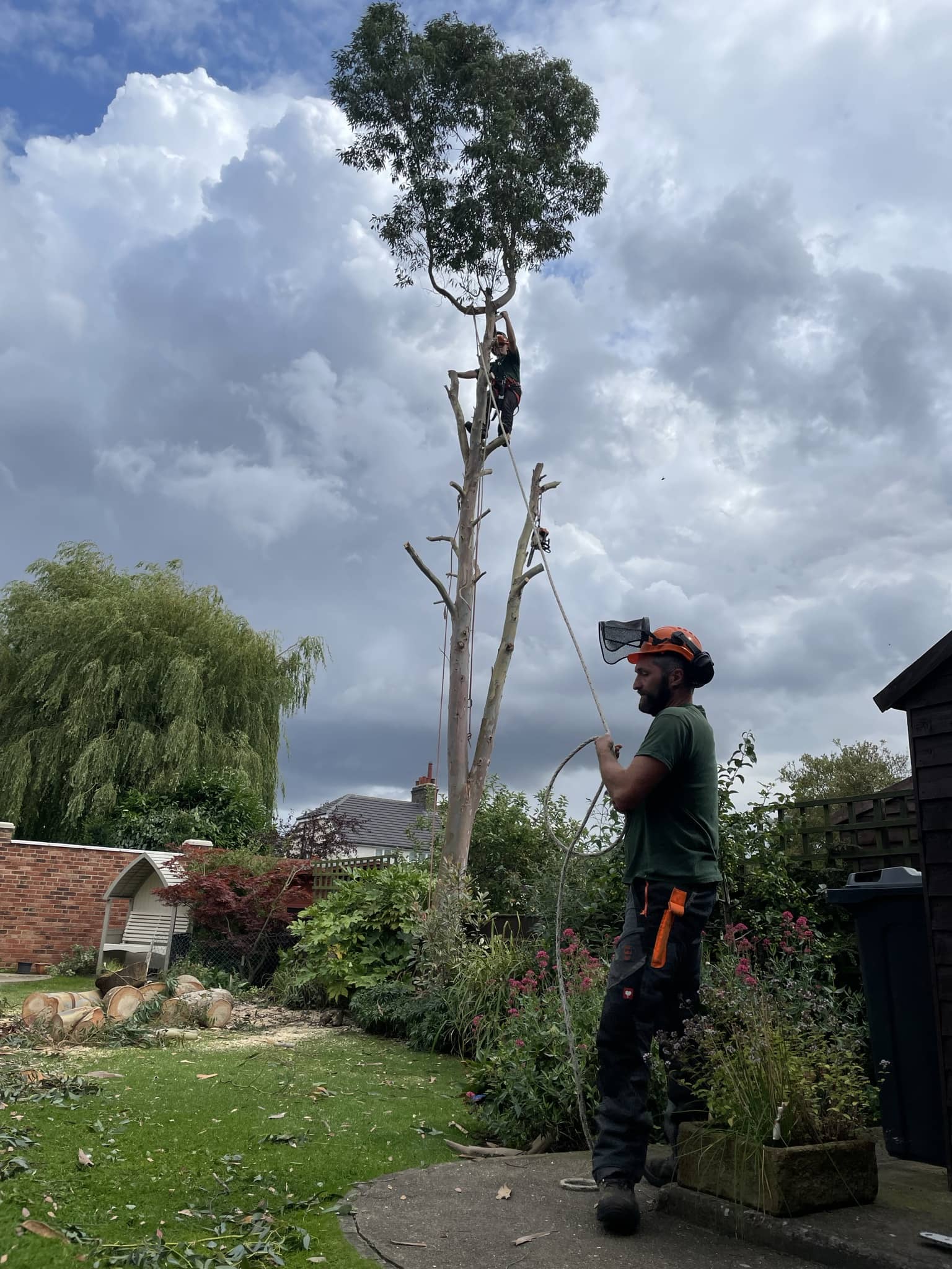Lindsey Tree Services | Professional Arborists in Lincolnshire